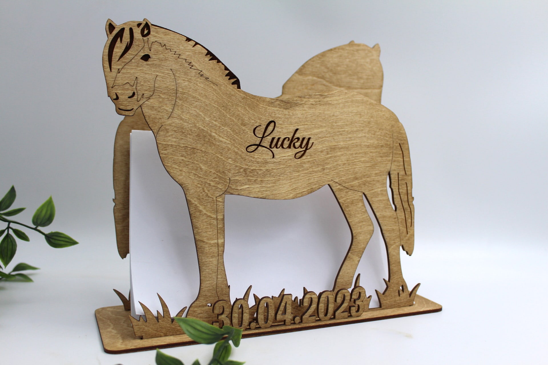 Fjordhest sangskjuler - Skovgaarden